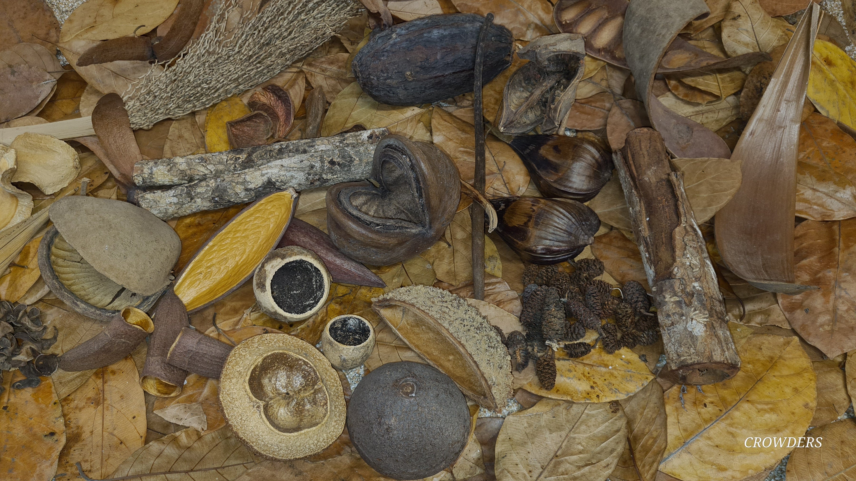 CROWDERS BOTANICALS – Crowders botanicals